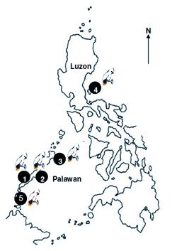 Katala Foundation Inc. - Where we work